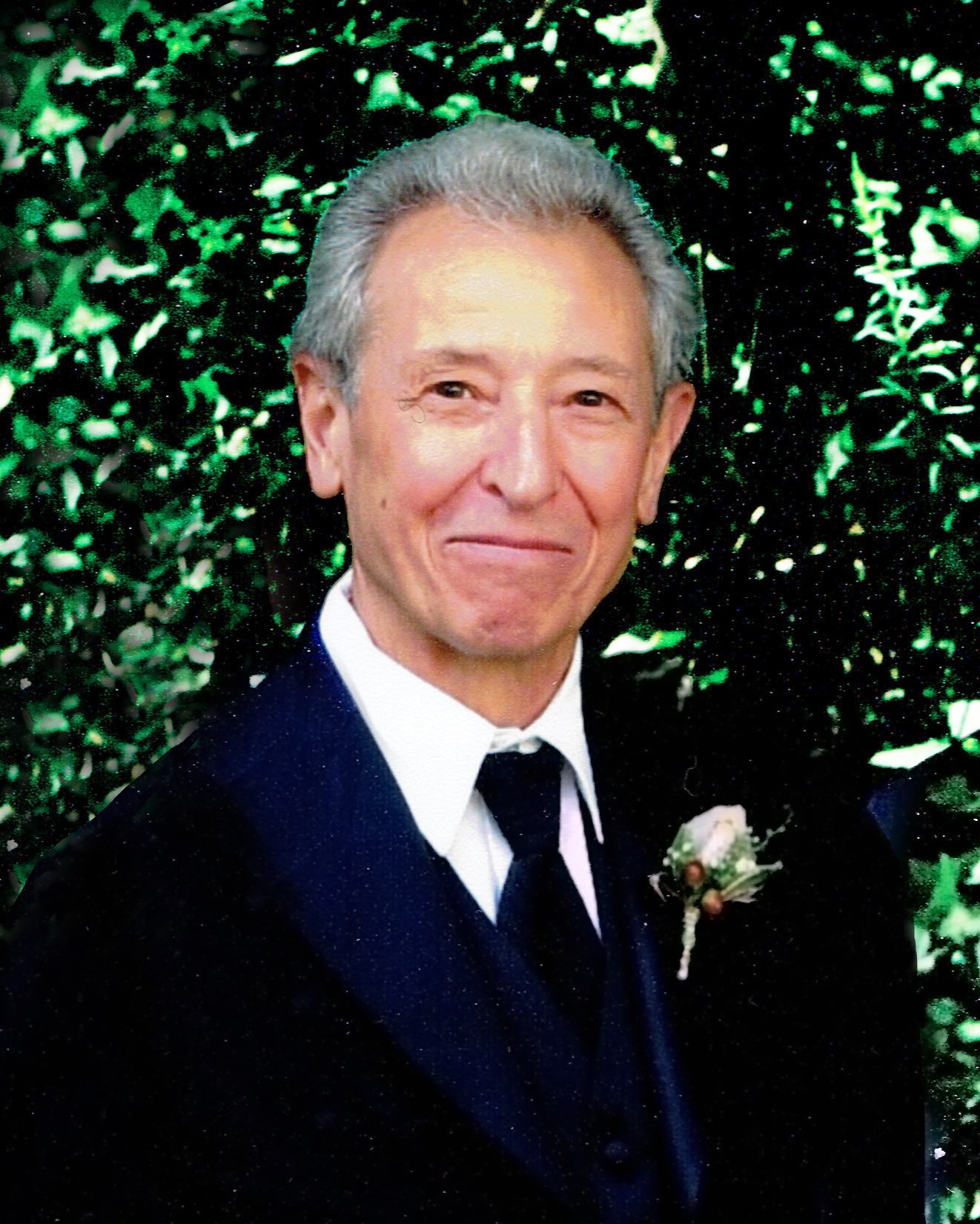 Gabriele Tassone Obituary - Brampton, ON