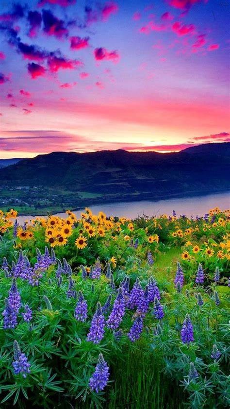 Alice Doyle Obituary - Salem, OR