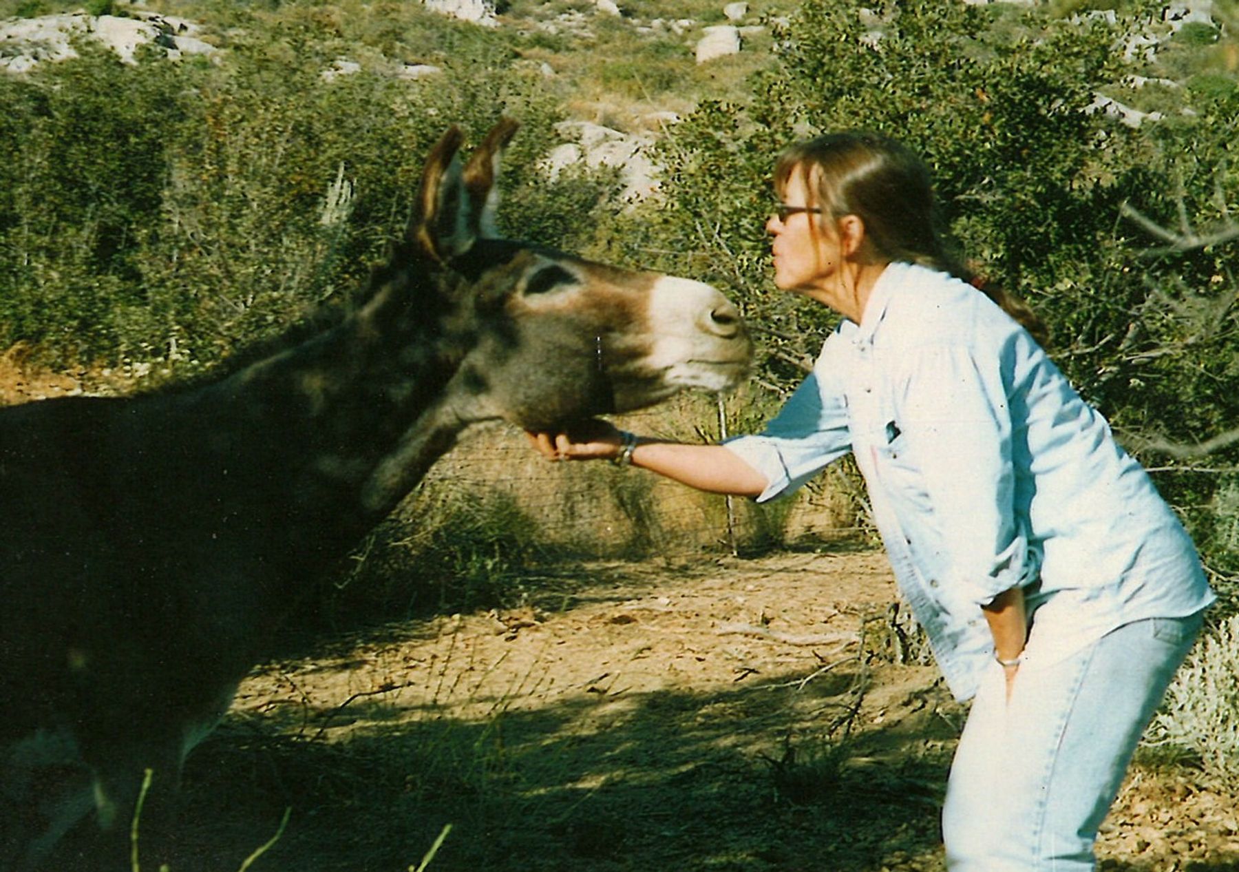 Debra Gamage Obituary - El Cajon, CA