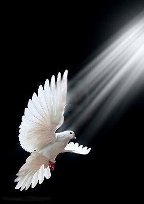 Jesse Arellano, Obituary - Austin, TX