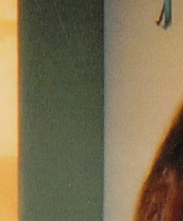 Sharon Roberts Obituary - Charlotte, NC Sharon Roberts Obituary - Charlotte, NC