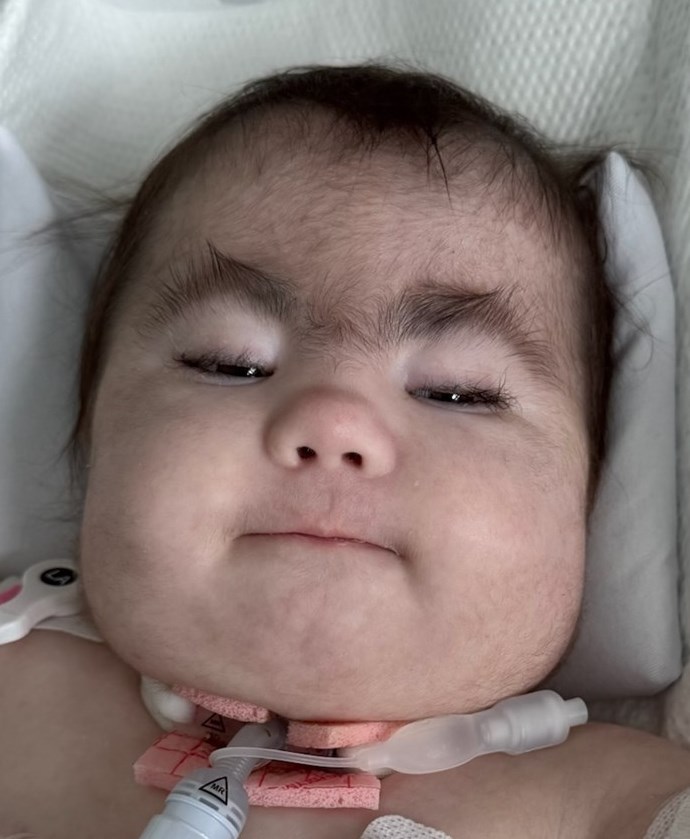 Rachel Williamson Obituary - Springfield, IL