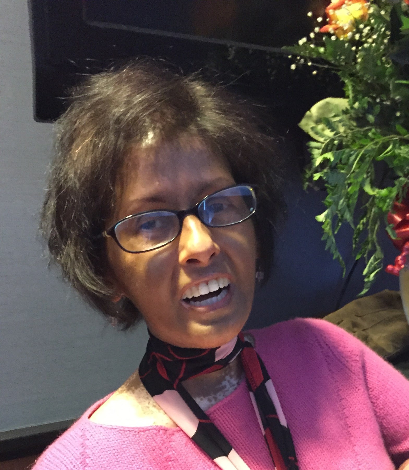 Christine Jimenez Obituary - Lisle, IL