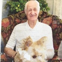 Daniel Evan Simonson Obituary - Millcreek, UT