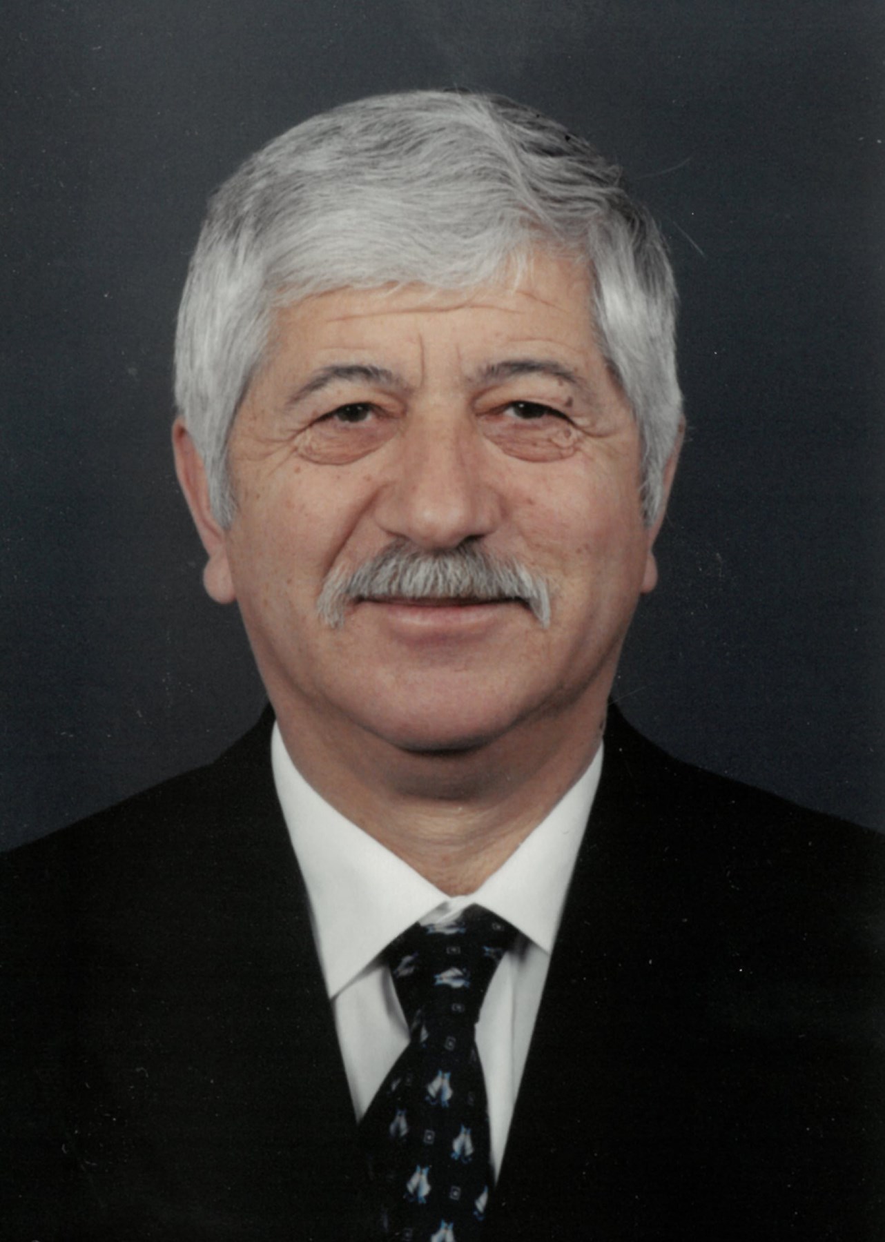 Nicola Pontillo Obituary - Hamilton, ON