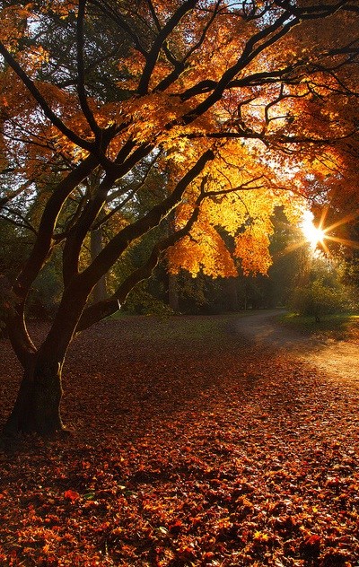 Warren Demaray Obituary - St. Paul, MN