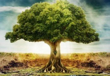 Craig Dunkle Obituary - Las Vegas, NV