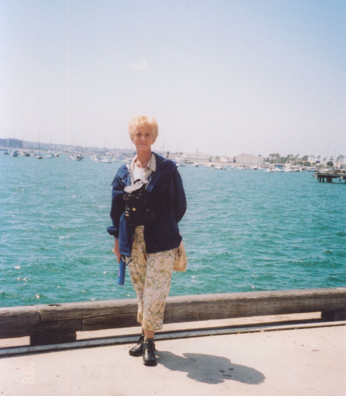 Daisy Lee Hobson Obituary - Fort Worth, TX