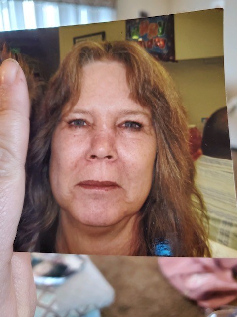 Diana Holcomb Obituary - Lake Odessa, MI