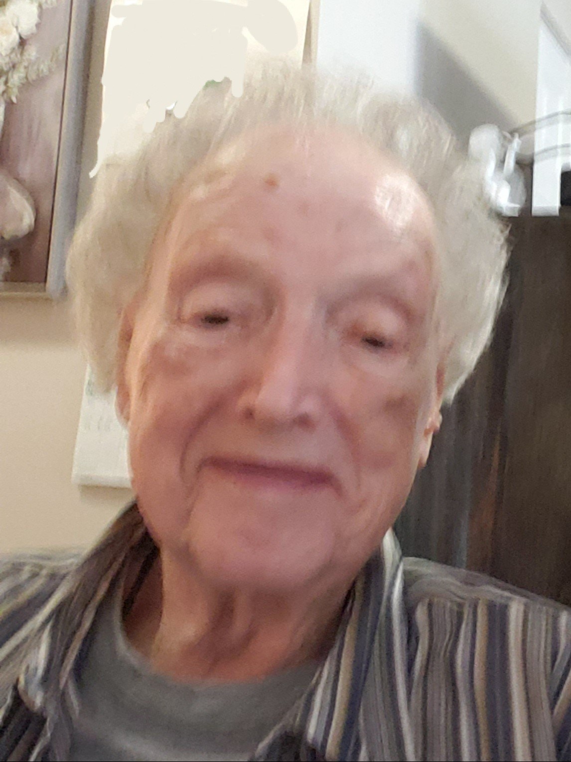 Patricia Knapp Obituary - Indianapolis, IN