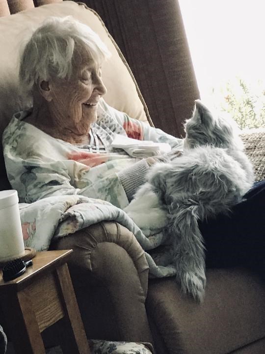 Elizabeth Watson Obituary - Palm Harbor, FL