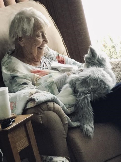 Elizabeth Watson Obituary - Palm Harbor, FL
