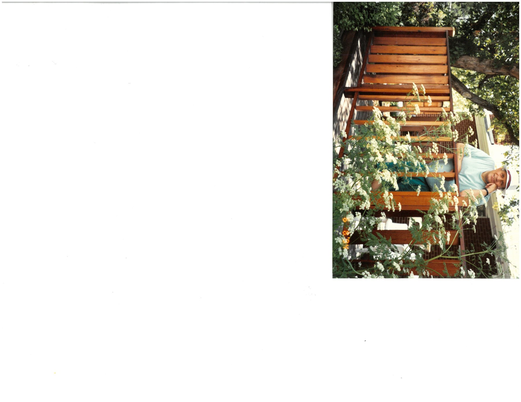 Anthony Muti Obituary - Wheat Ridge, CO