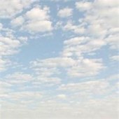 Elizabeth Eddy Obituary - Casa Grande, AZ