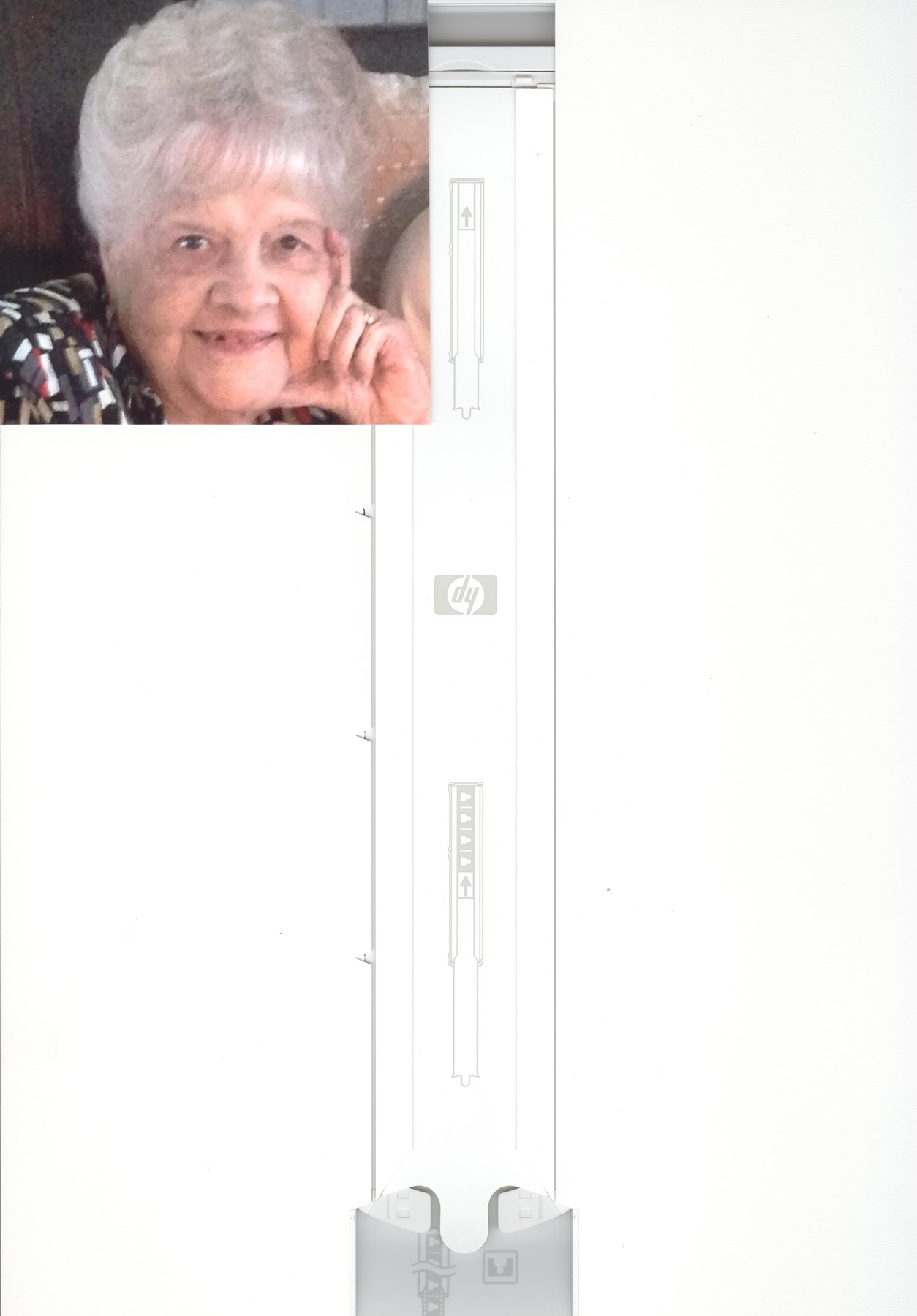 June Bauer Obituary - Seminole, FL