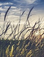 Obituaries Search for Thomas Velasco