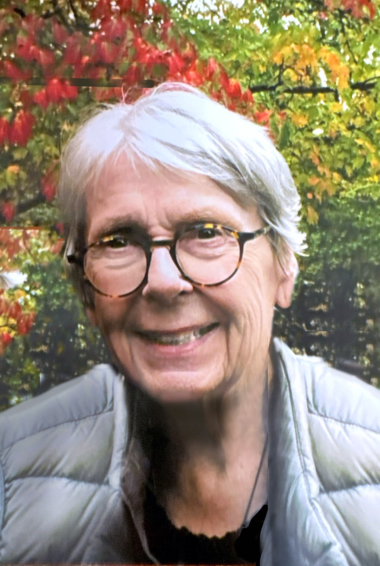 Alison MacGregor Swafford Obituary - Greensboro, NC