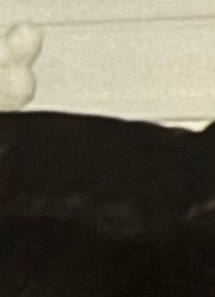 Yvonne Acosta Obituary - Grand Prairie, TX Yvonne Acosta Obituary - Grand Prairie, TX