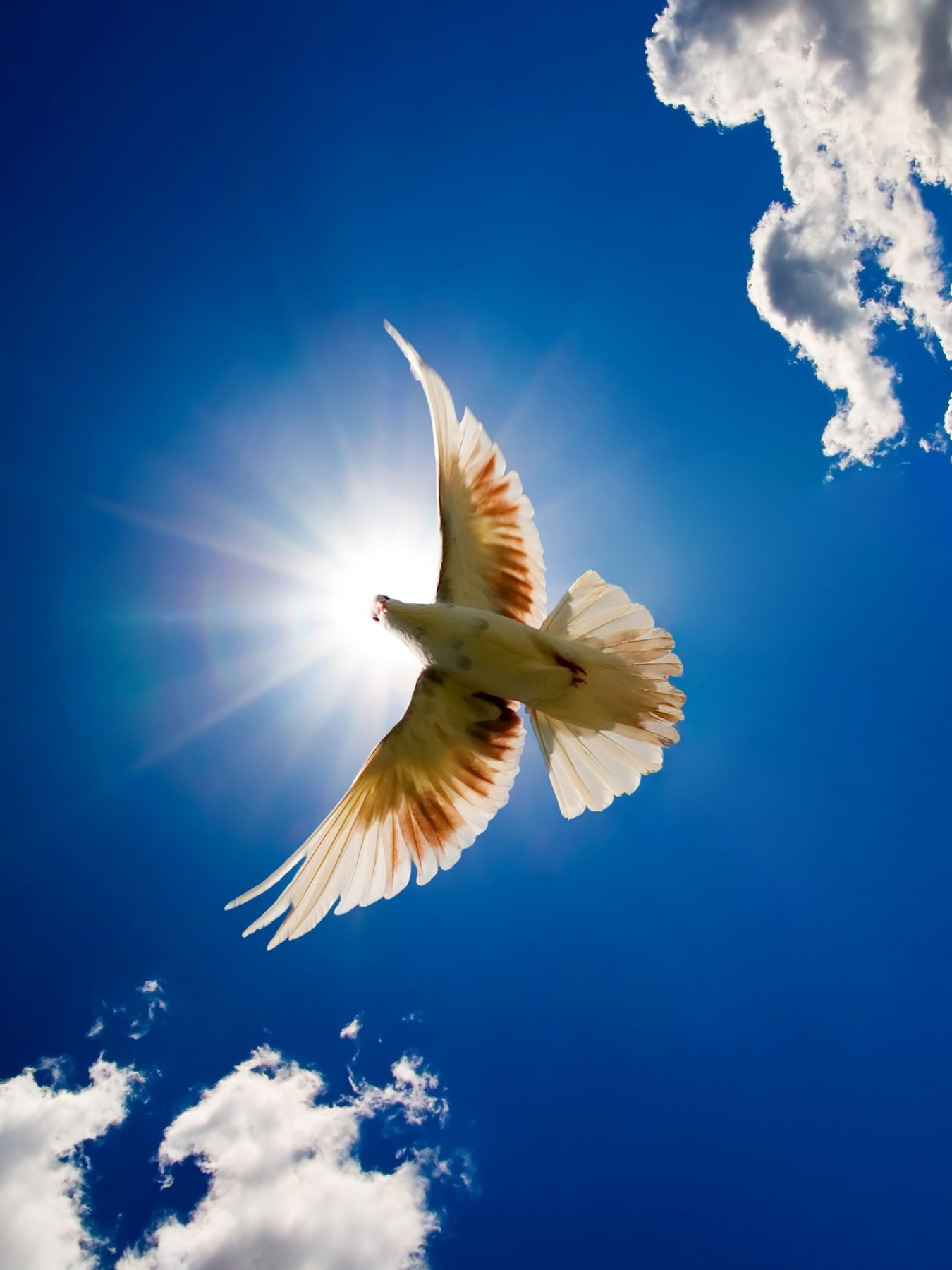 James Wheeler "Spike" Eoff Obituary - Carrollton, TX