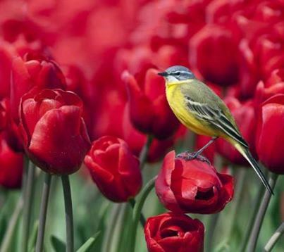 Jane M Keck Obituary - Roswell, GA