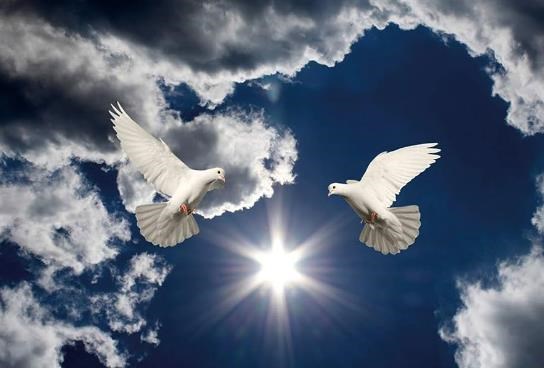 Ignacio Sevillano Obituary - Miami, FL