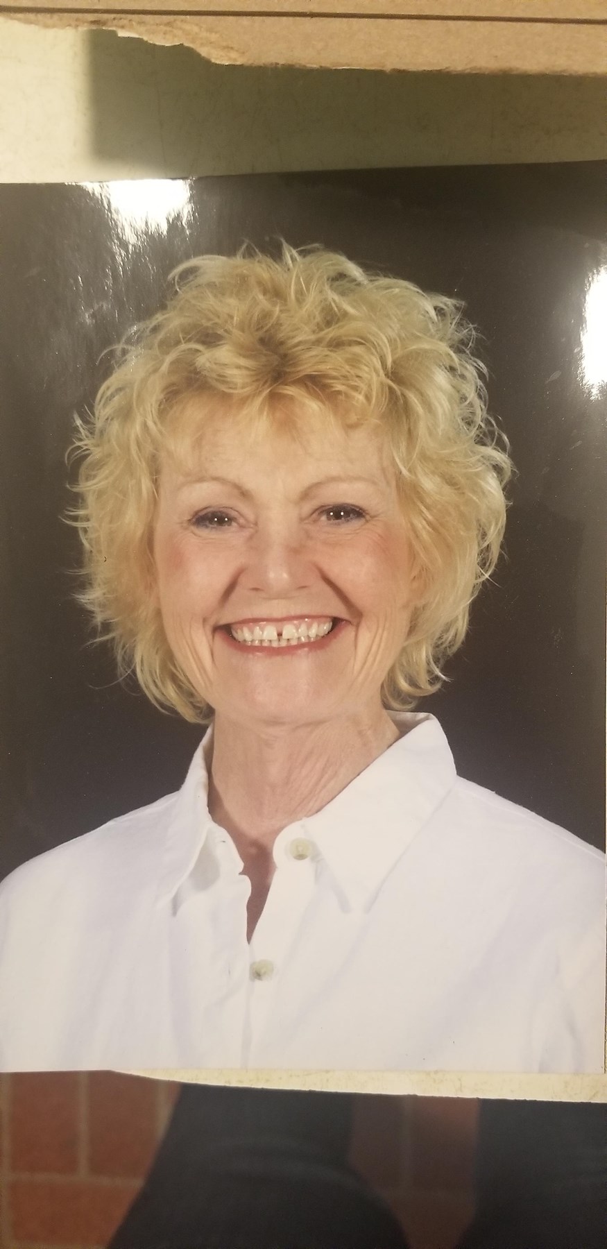 Evelyn Davidson Obituary - Lansing, MI