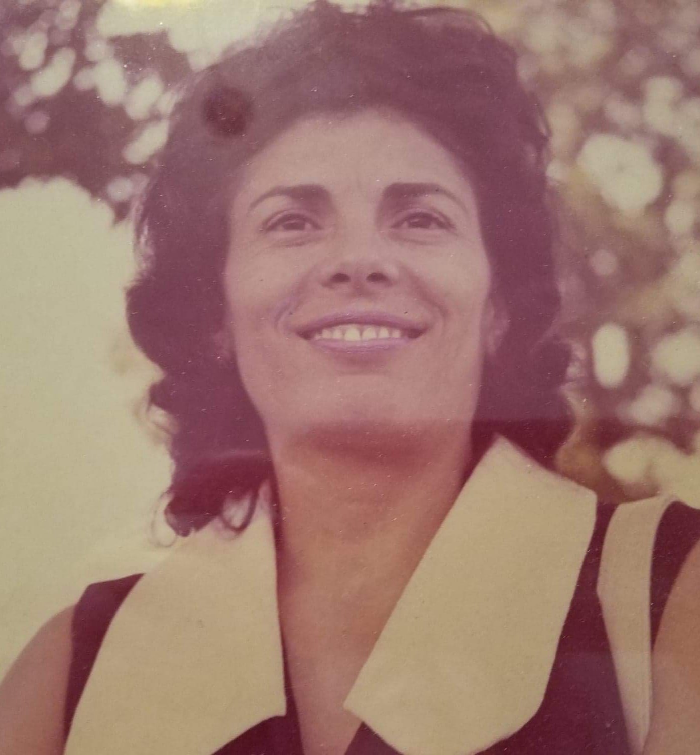 Yolanda O' Connor Obituary - Spring Hill, FL