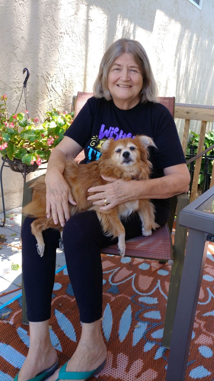 Cynthia Sturtz Obituary - Clearwater, FL