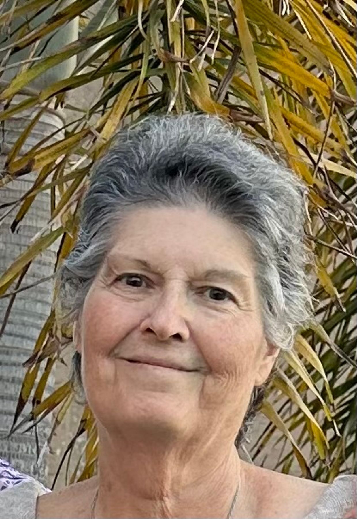 Janie Johnes Obituary - Sarasota, FL