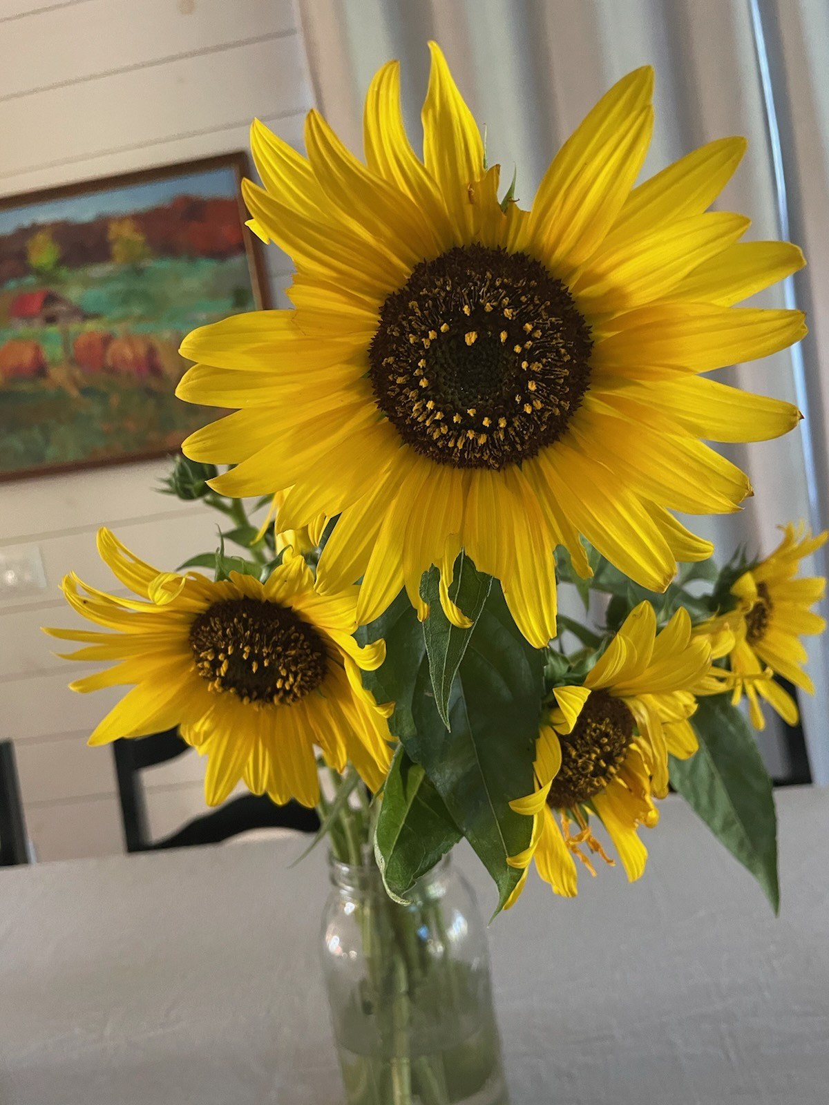 Patricia Ryanczak Obituary - Marietta, GA