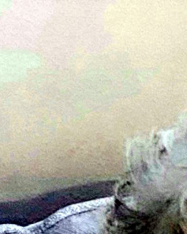 Wanda Ann Walters Obituary - Baytown, TX Wanda Ann Walters Obituary - Baytown, TX