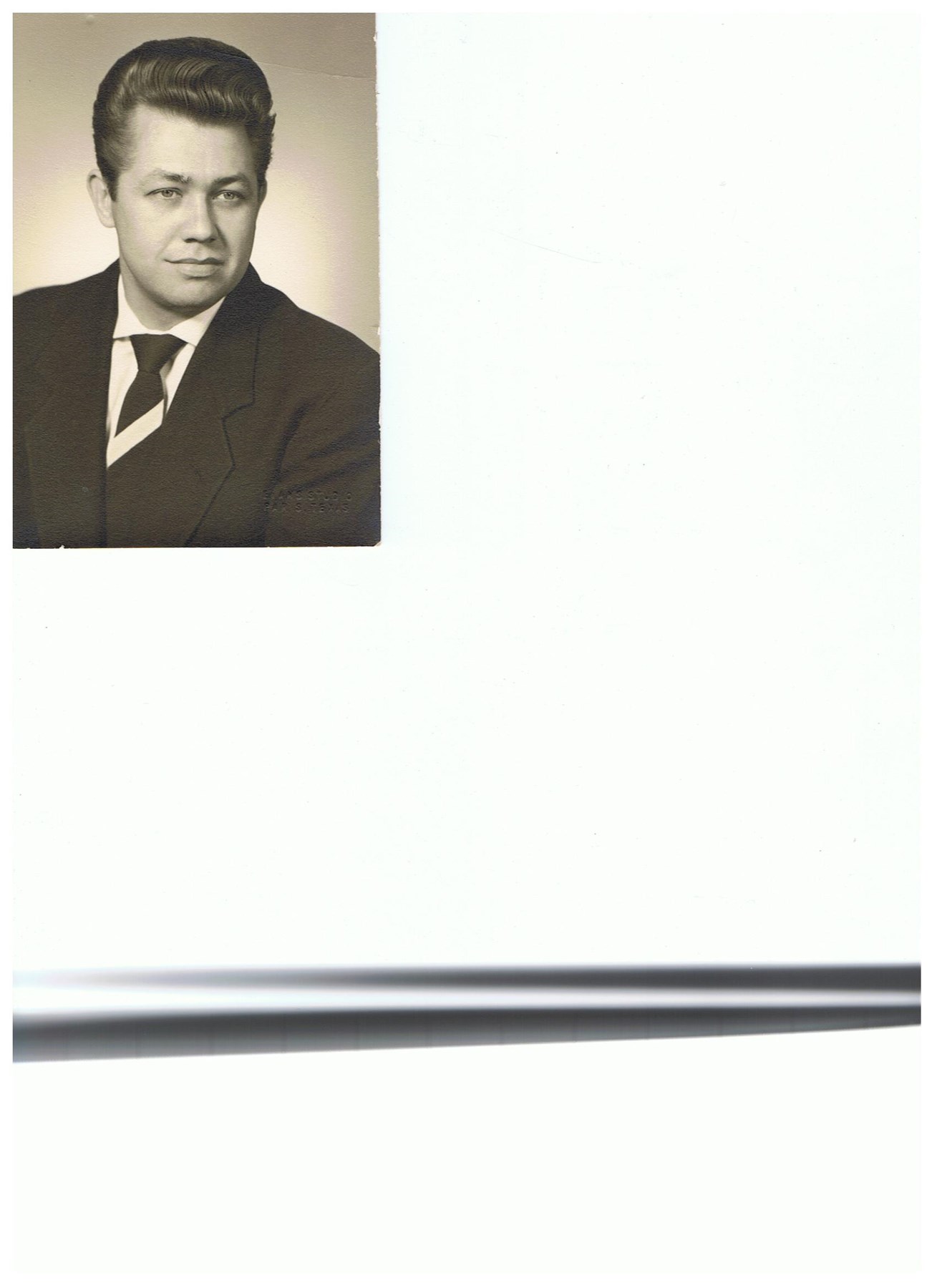 smiling turtle wendell