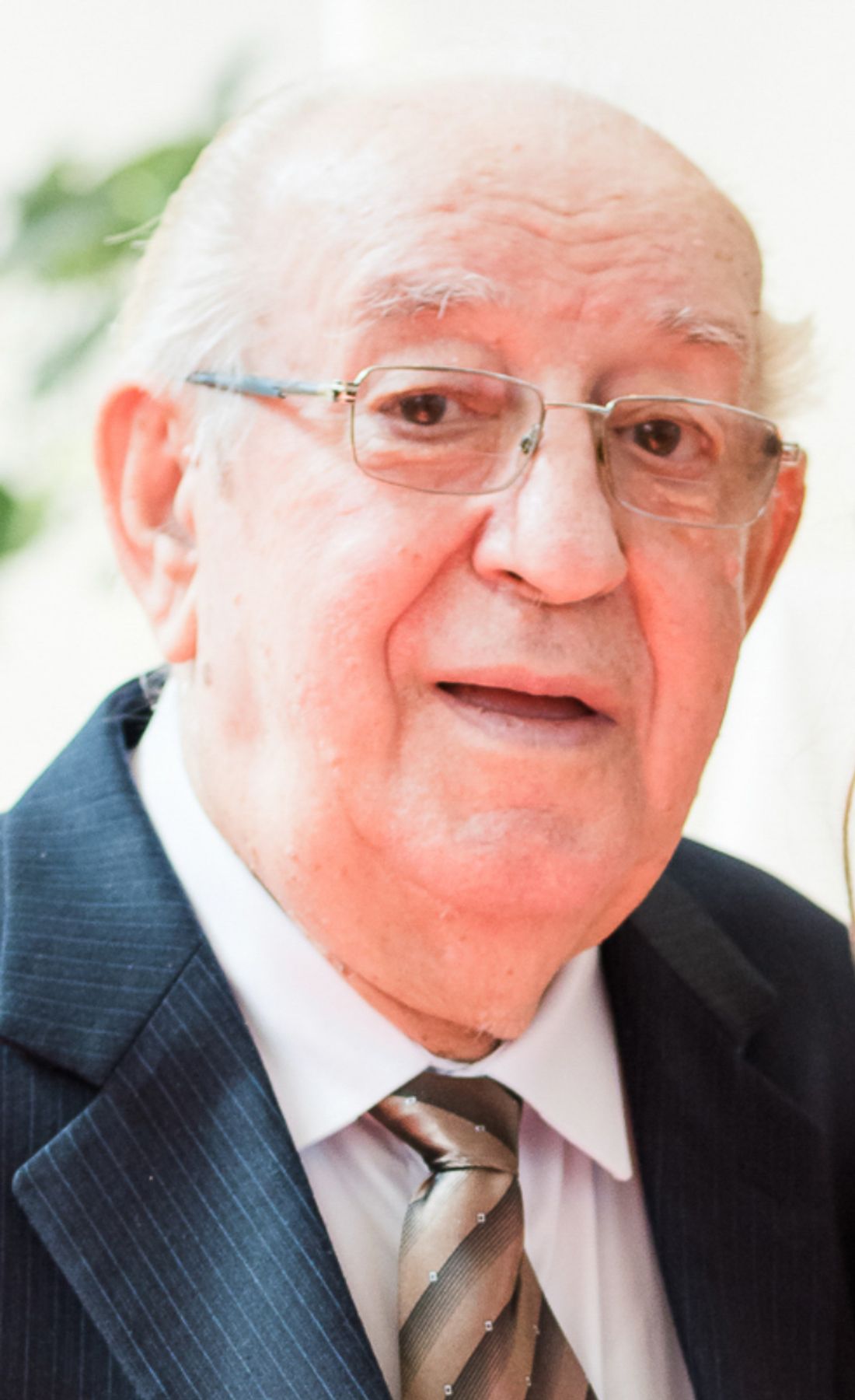 Ljubomir Rožman Obituary - Hamilton, ON