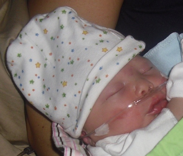 Nike Johnson Obituary - Ormond Beach, FL