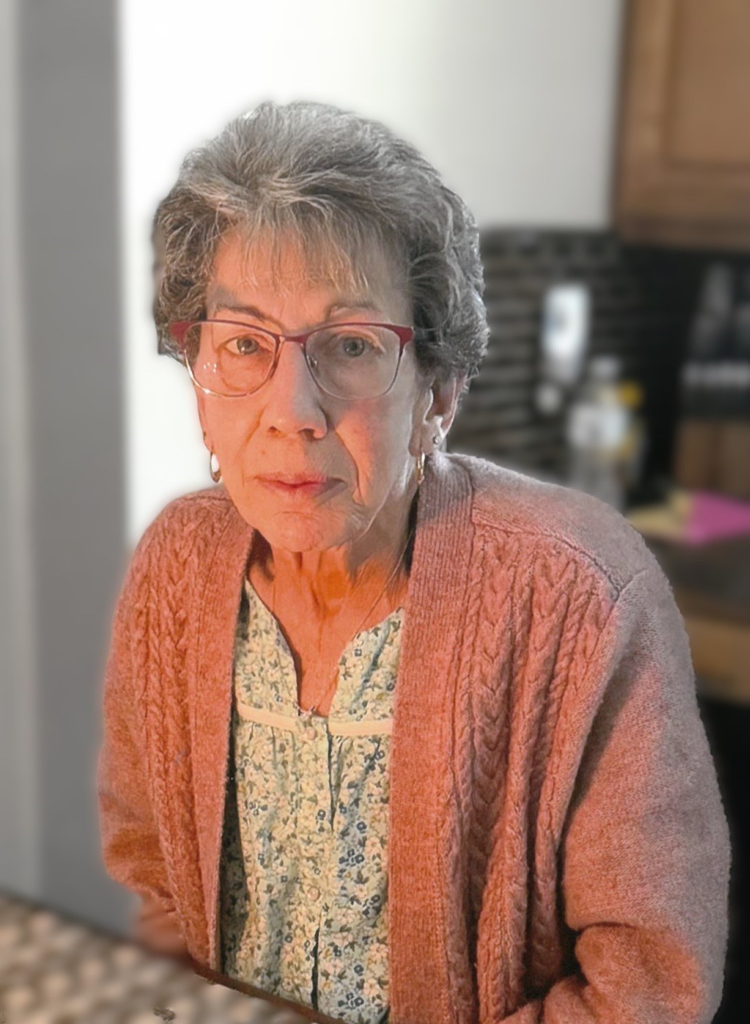 Susan Hooper Obituary - Rochester, MI