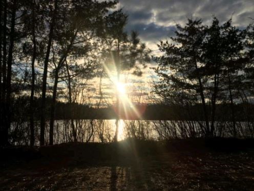 Sandra Dolores Halitzer Obituary - Whiting, NJ