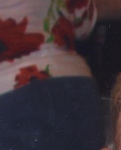 Robert Robert