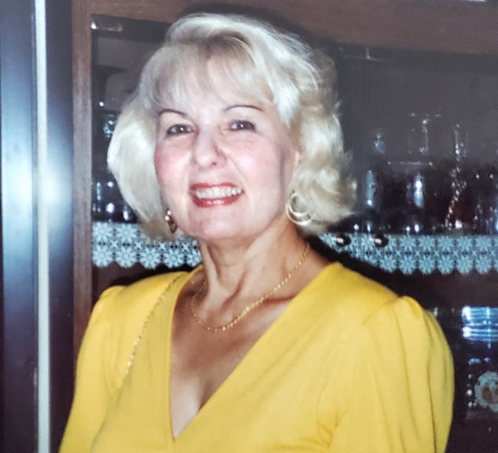 Judith Wasserman Obituary - Clearwater, FL