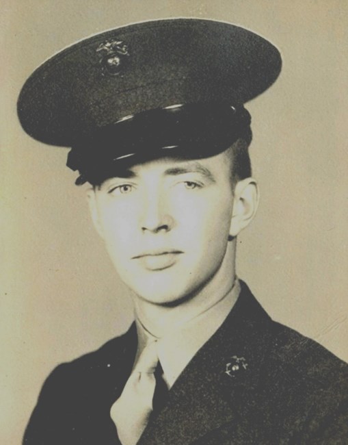 Henry Bayne Obituary - Timonium, MD