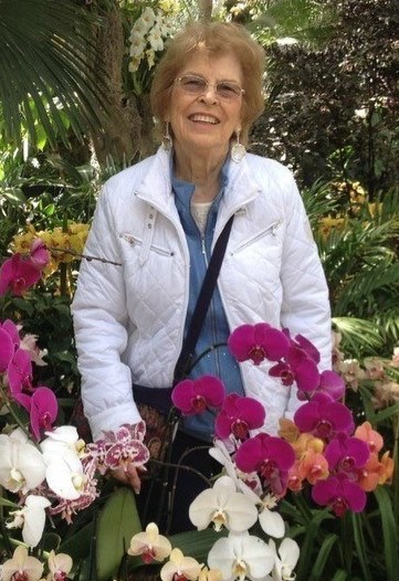 Anne DeGasperis Obituary - Sparta, NJ