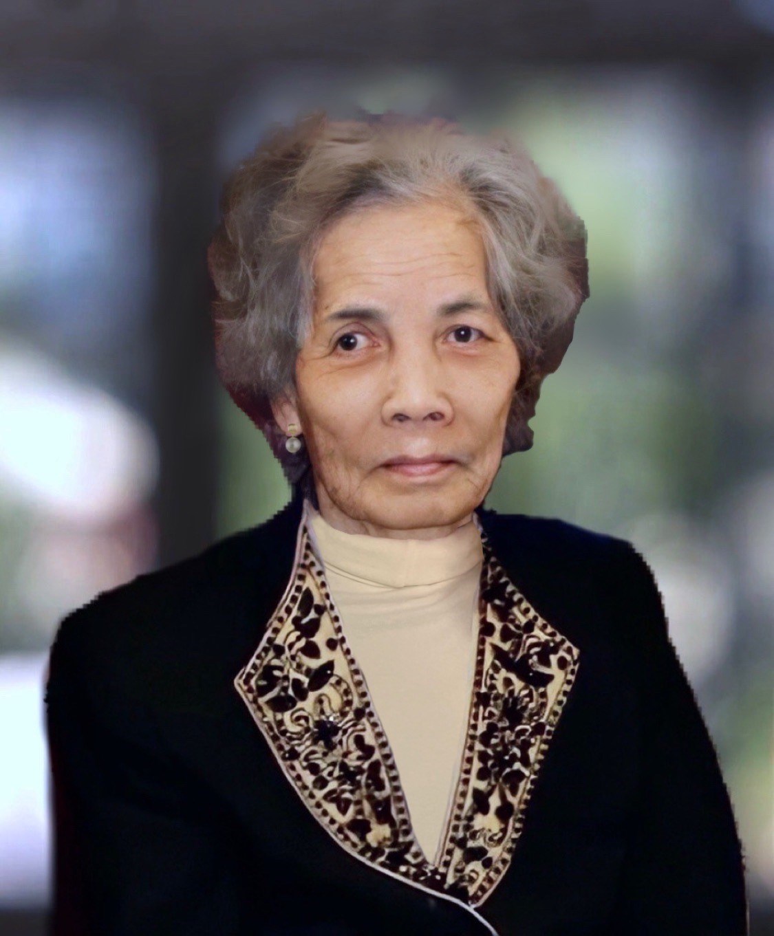 Hong Nguyen Obituary - Arlington, TX