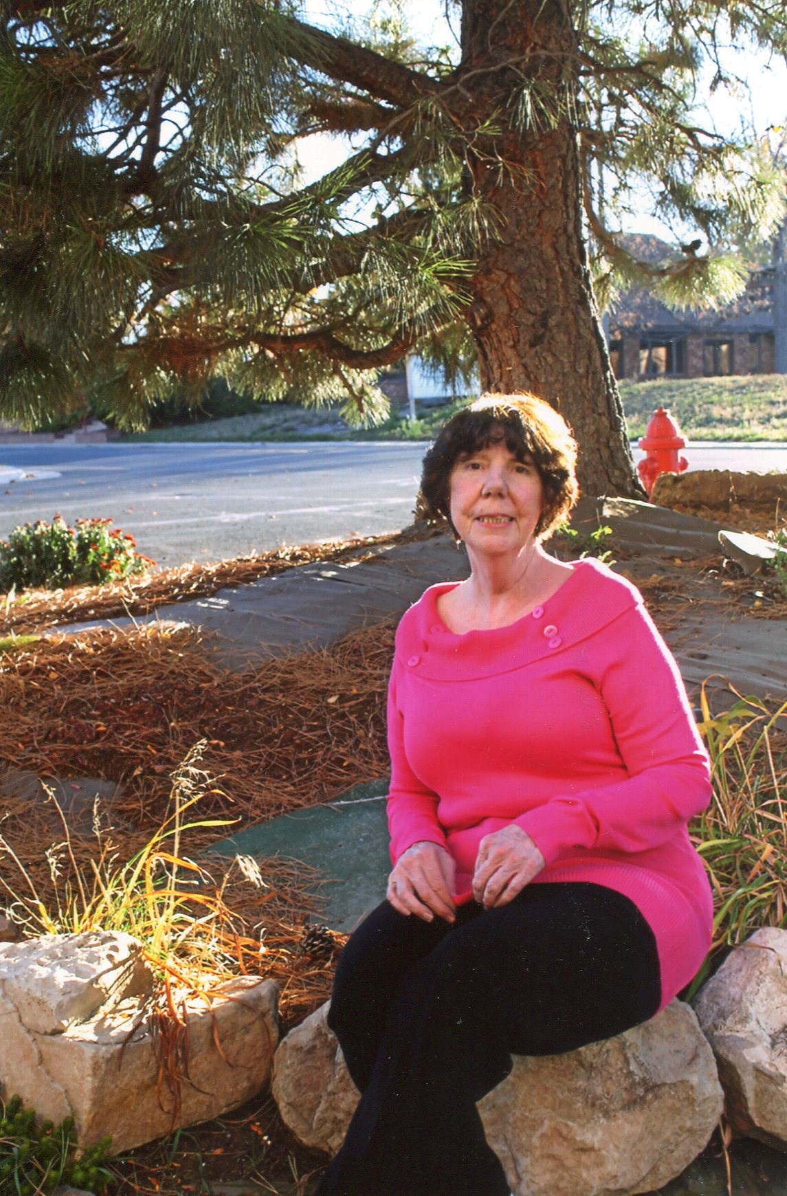 Anna Johnson Obituary - Greeley, CO