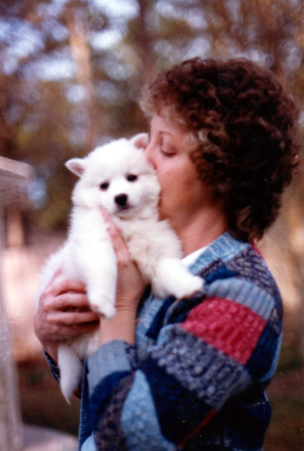 The Proposal Dog Breed Kevin