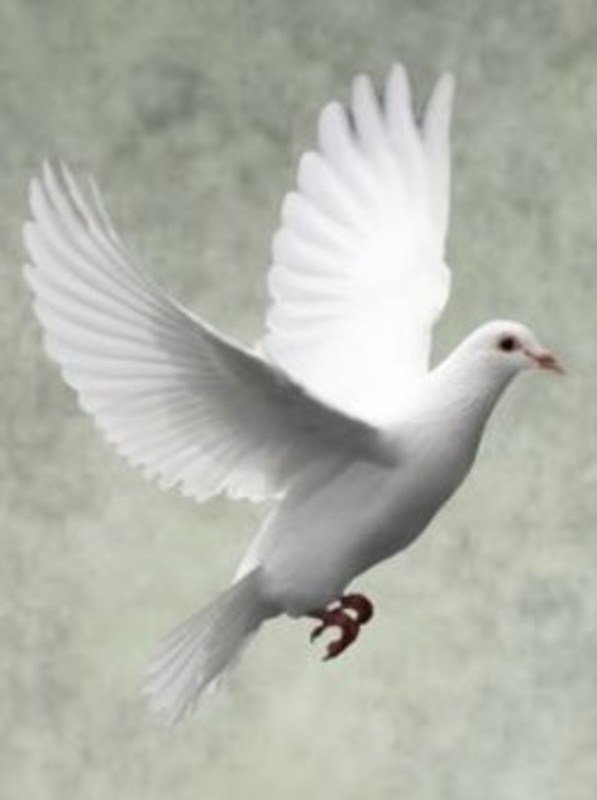 Ronald Potts Obituary - Niagara Falls, ON