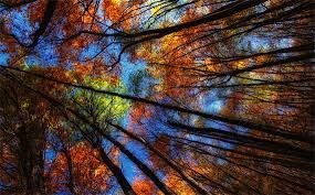 Ronald Puttock Obituary - St. Catharines, ON