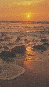 Scott Hemingway Obituary - Madison, CT