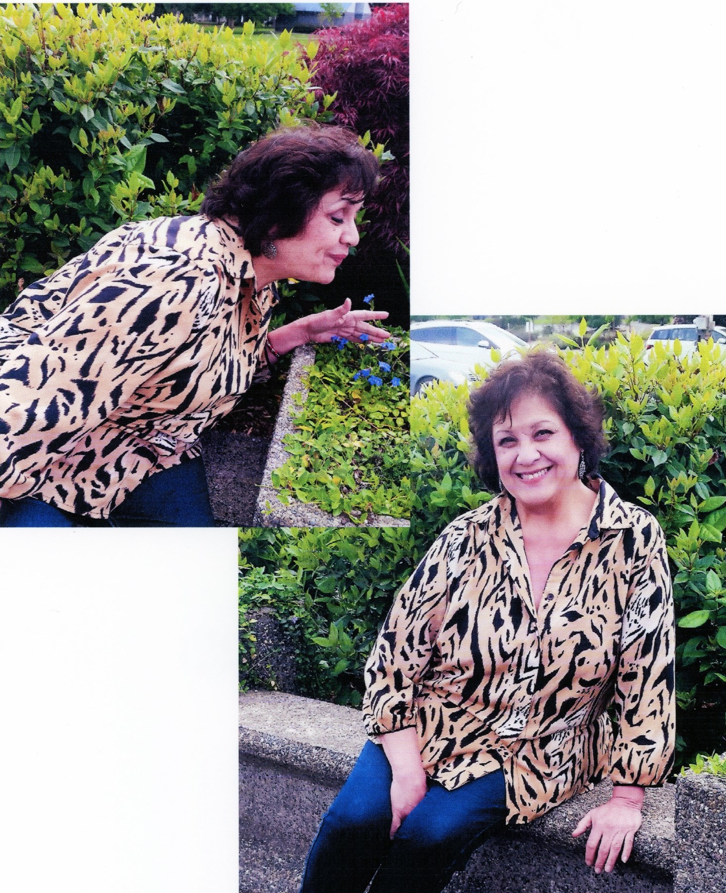 Vicki Seitz Obituary - Bremerton, WA