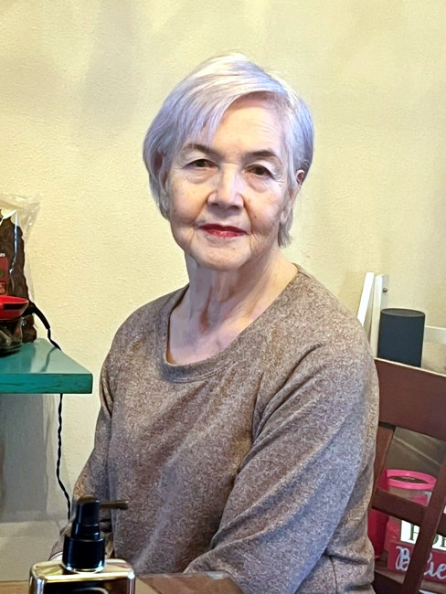 Luz Olga Saenz Obituary - Dallas, TX