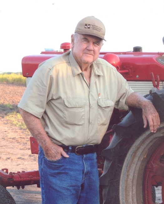 Vincent Rippamonti Obituary - Victoria, TX