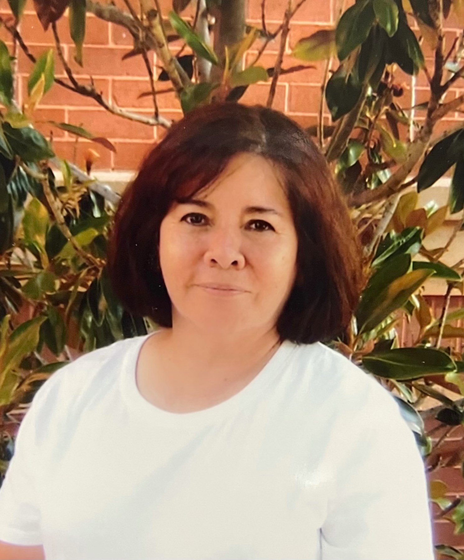 Rebecca Cantu Obituary - Mission, TX